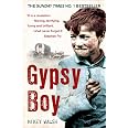 Gypsy Boy: The bestselling memoir of a Romany childhood: Amazon.co.uk ...