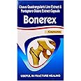 Buy MAHARSHI CHYAVANA Bonerex (30 capsules) Online at Low Prices in ...