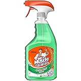Mr Muscle Window & Glass Cleaner, Advanced Power Cleaning Spray for ...