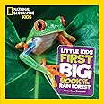 Little Kids First Big Book of the Rain Forest (National Geographic Kids ...