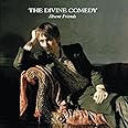 Absent Friends: The Divine Comedy: Amazon.fr: CD et Vinyles}