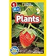 National Geographic Kids Readers: Seed to Plant by Rattini, Kristin ...