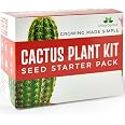 Cactus Kit - Grow Your Own Cacti Plants - Unusual Gardening Gift with ...
