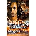 Dark Sentinel (Dark Carpathian) : Feehan, Christine: Amazon.co.uk: Books