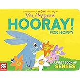 WOW! Said the Owl: A First Book of Colours : Hopgood, Tim: Amazon.co.uk ...