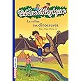Amazon.fr - La cabane magique, Tome 01: La vallée des dinosaures - Pope ...