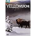 Yellowstone [DVD] [2009]: Amazon.co.uk: DVD & Blu-ray