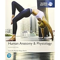 Human Anatomy & Physiology, Global Edition: Amazon.co.uk: Marieb, Elaine, Hoehn, Katja ...
