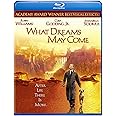 What Dreams May Come : Williams, Robin, Gooding Jr., Cuba, Sciorra ...