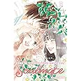Kimi ni Todoke: From Me to You: Soulmate, Vol. 2: From Me to You: Soulmate; Shojo Beat Edition ...