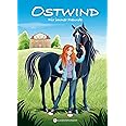 Ostwind - Für immer Freunde (Ostwind für Erstleser 1 ...