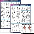 Dumbbell Workout Poster Set (2 Pack) - Workout Charts for Home Gym ...