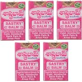 Sastry balm Ayurvedic Painbalm (Pack of 2)- 12 gms : Amazon.in: Health ...