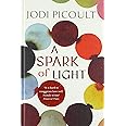 A Spark of Light: THE NUMBER ONE SUNDAY TIMES BESTSELLER: Amazon.co.uk ...