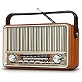 PRUNUS J-120 Poste Radio Vintage, AM/FM/SW Radio Portable avec Batterie Rechargeable 1800mAh, ou ...