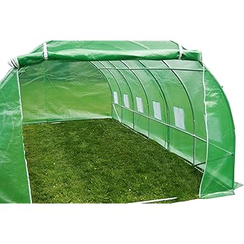 6m x 3m x2m Extra Wide Polytunnel with Galvanised 25mm Diameter Steel ...