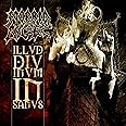 Illud Divinum Insanus: Amazon.co.uk: CDs & Vinyl
