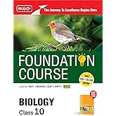 Buy MTG Foundation Course Class 10 Physics, Chemistry, Mathematics & Biology Book (Edition 2025 ...