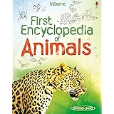 First Encyclopedia of Science (Usborne First Encyclopedias): 1: Amazon ...