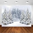 Avezano Winter Scene Christmas Backdrop Wonderland Snowflake Photography Background White Snow ...