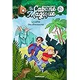 Amazon.fr - La Cabane magique Bande dessinée, Tome 01: La Cabane ...