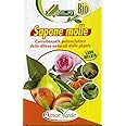 SAPONE MOLLE SOLUZIONE DI SALI DI POTASSIO CONF. DA 250 ML : Amazon.it ...
