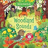 Night Sounds (Noisy Books) (Sound Books) by Sam Taplin