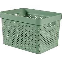CURVER, Infinity Box 17 L, Green, 35.5 x 26.2 x 21.9 cm, Recycled ...