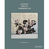 Lucian Freud: Drawings: Selected by William Feaver : Feaver, William ...