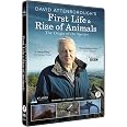 David Attenborough: First Life and Rise of Animals - The Origin of the ...