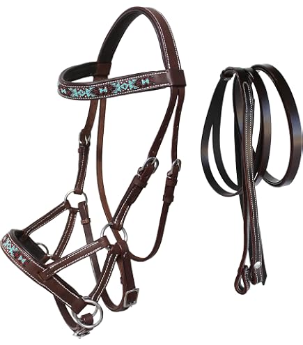Sidepull Bridle CHALLENGER Bitless For Horses – Full Grain Leather ...