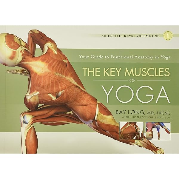 Yoga Anatomy Book Functional Anatomy Of Yoga By David Keil
