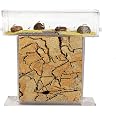 AntHouse - Formicaio Naturale di Sabbia | Kit T Acrilico 15x15x1,5 cm ...