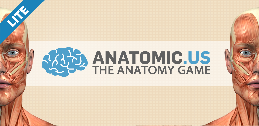 MUSCULAR ANATOMY GAME LITE : Amazon.co.uk: Apps & Games