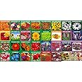 KRIWIN 30 Varieties Flower Seeds Combo 5220+ seeds with Start your Own ...