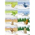 Jandorfverlag Lies mal Hefte 1-8 im Paket : Amazon.de: Spielzeug