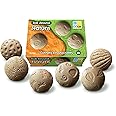 Yellow Door Roll Around Nature |Six Wildlife Playdough Roller Balls ...
