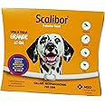 Scalibor Collare Antiparassitario per Cani, 65cm : Amazon.it: Prodotti ...