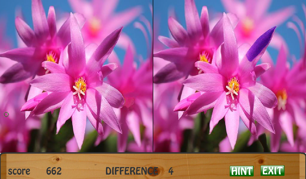 Flowers - Spot the Difference: Amazon.fr: Appstore pour Android