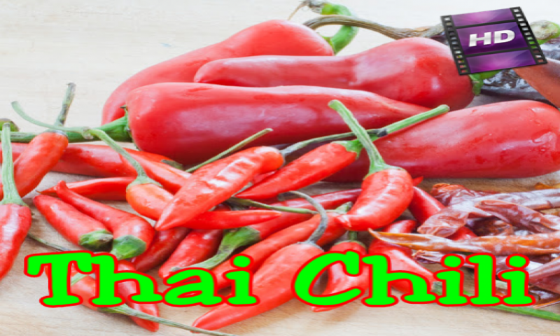 Thai Chili: Amazon.co.uk: Appstore for Android