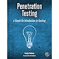Penetration Testing: A Hands-On Introduction to Hacking: Amazon.co.uk ...