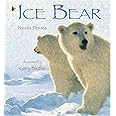 Ice Bear : Davies, Nicola, Blythe, Gary: Amazon.co.uk: Books