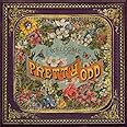Pretty.Odd. - Panic at the Disco: Amazon.de: Musik-CDs & Vinyl