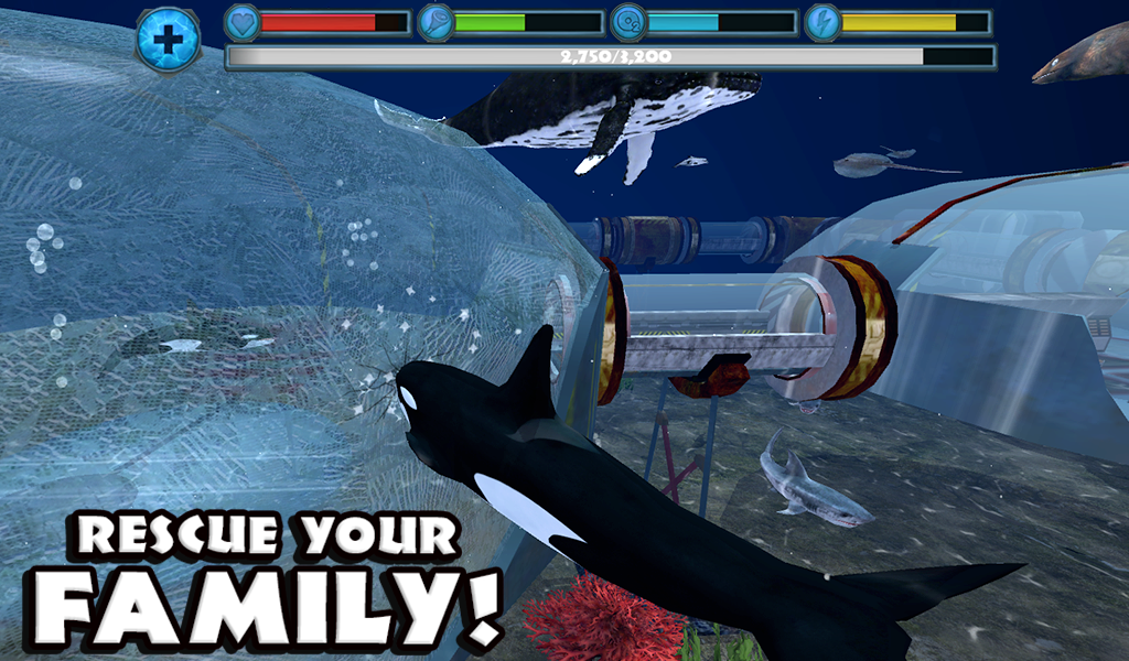 Orca Simulator: Amazon.de: Apps für Android