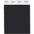 Pantone 19-4004 TCX Smart Color Swatch Card, Tap Shoe : Amazon.in: Home ...