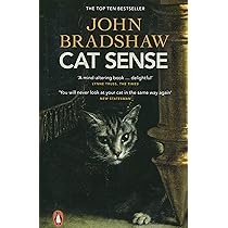 O Enigma Katzen Dark Entries Records | Dispatches From Solitude Is The