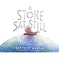 A Stone Sat Still: Amazon.co.uk: Wenzel, Brendan: 9781797215716: Books