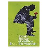 The Fire Next Time: My Dungeon Shook; Down at the Cross (Penguin Modern ...