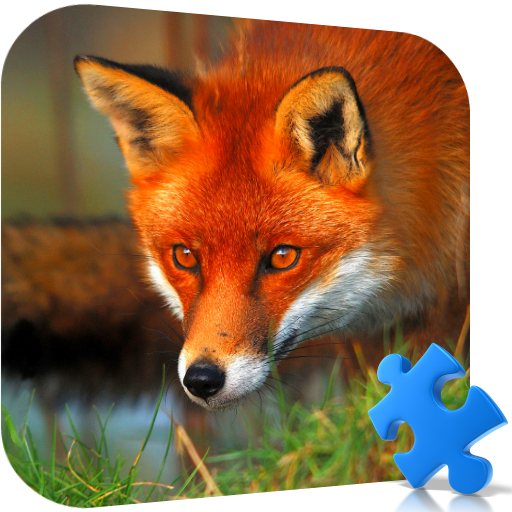 Fox Game Puzzle : Amazon.co.uk: Apps & Games