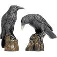 Design Toscano CL6170 Mystic Night Raven Gothic Statues, 15 cm, Set of ...